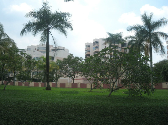 Thomson Grove Condominium Details in Ang Mo Kio - Bishan | Nestia Singapore