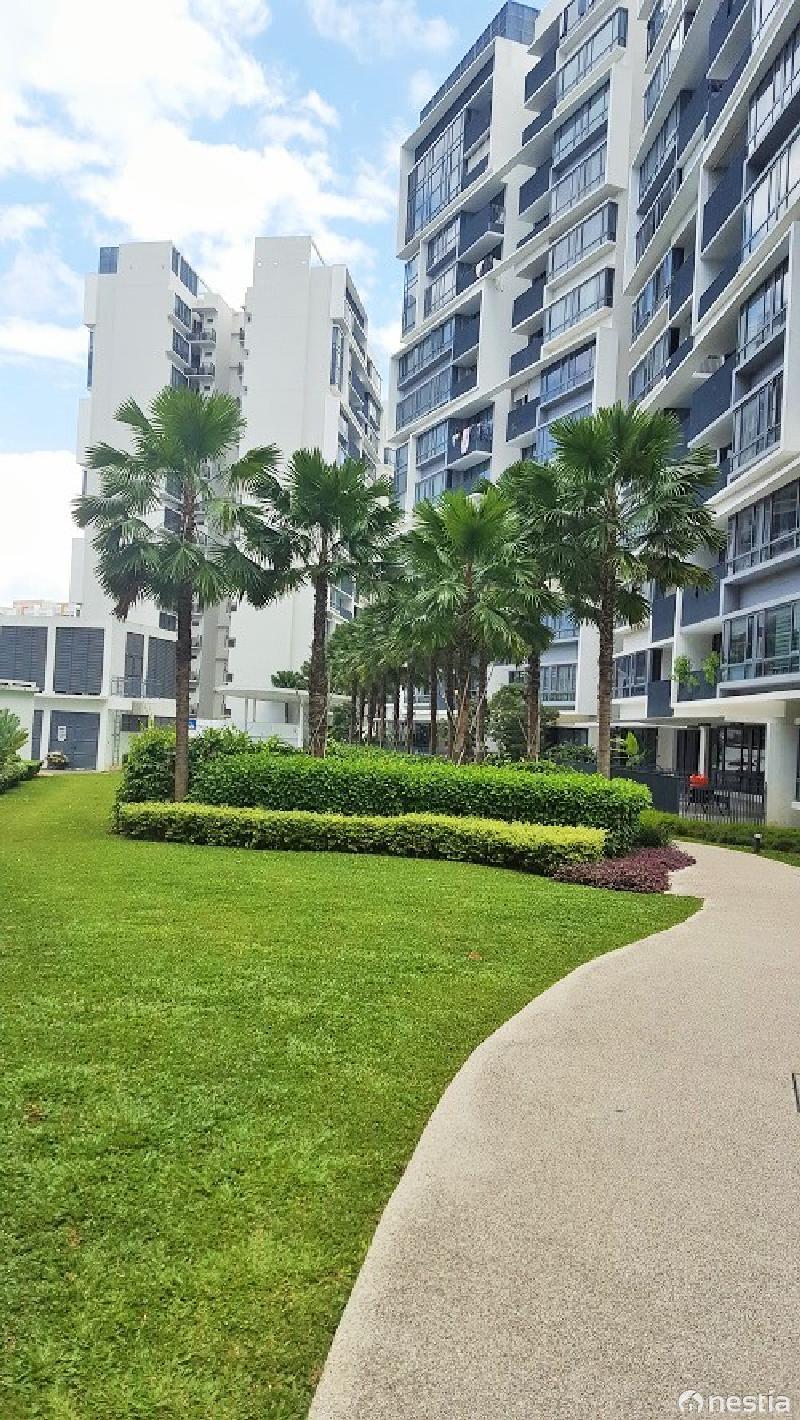 The Palette,105 Pasir Ris Grove,Private room,3 Bedrooms,Condominiums ...