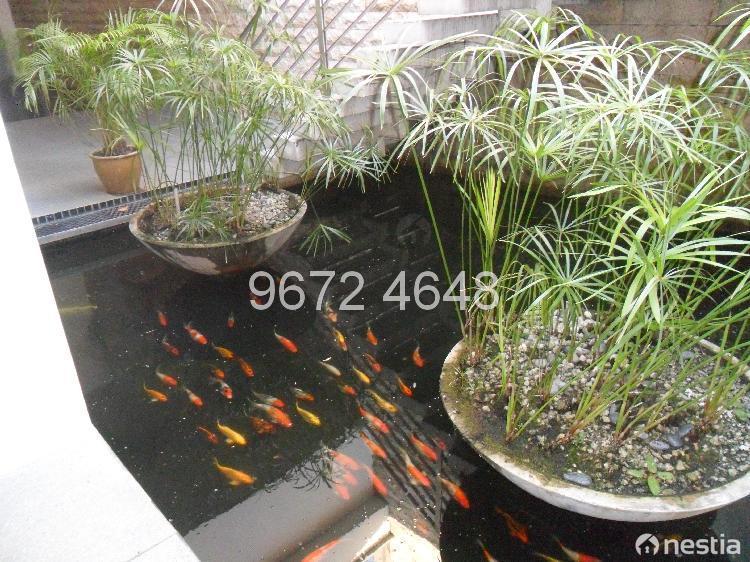 The Teneriffe,374 Laurel Wood Avenue,Entire unit,4+,Landed Houses, Terraced Houses, Detached ...