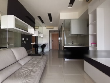 The Mezzo,205 Balestier Road,Entire unit,2 Bedrooms,Condominiums ...