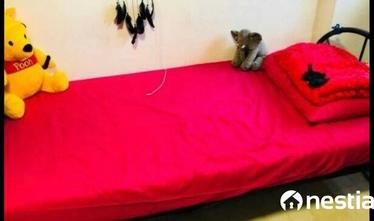 101 Jalan Rajah,Shared room,4+,HDB flat for Rent ,by chandran udaya, S ...