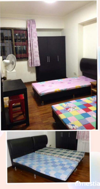 403A Fernvale Lane,Private room,1 Bedroom,HDB flat for Rent ,by 中华美, S ...