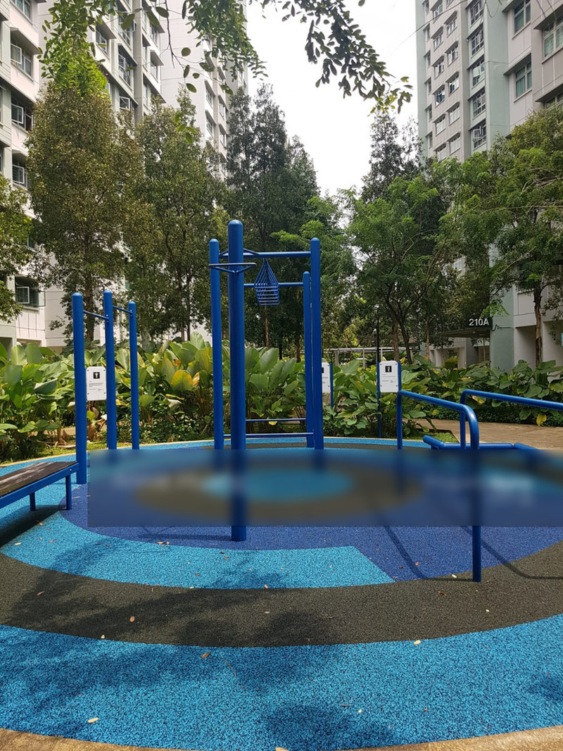 210C Punggol Place,1,495 Sqft, HDB flat for Sale ,by Annie Huang, S ...